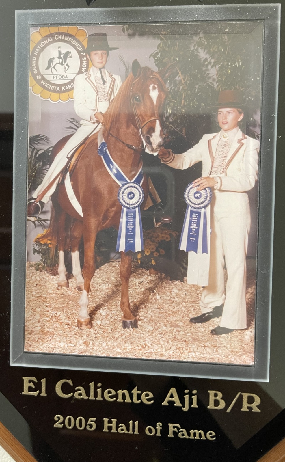 El Caliente Aji B/R - PFHA